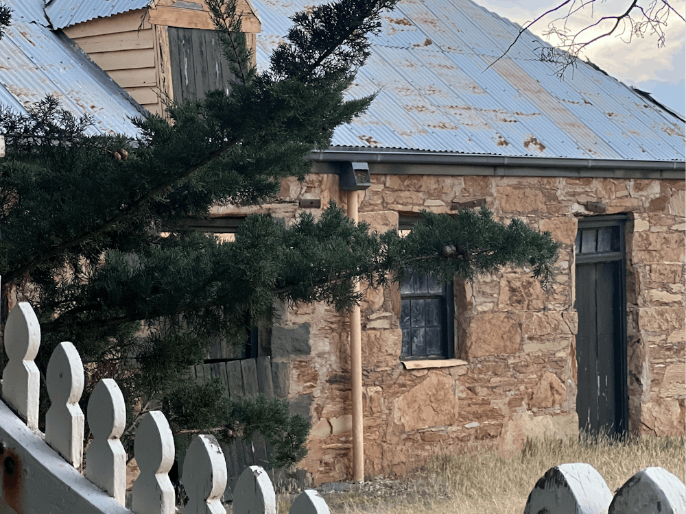 Eleanora - Ballarat In The Know